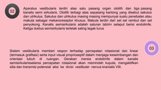 PTT_VERTIGO_PERIFER.pptx