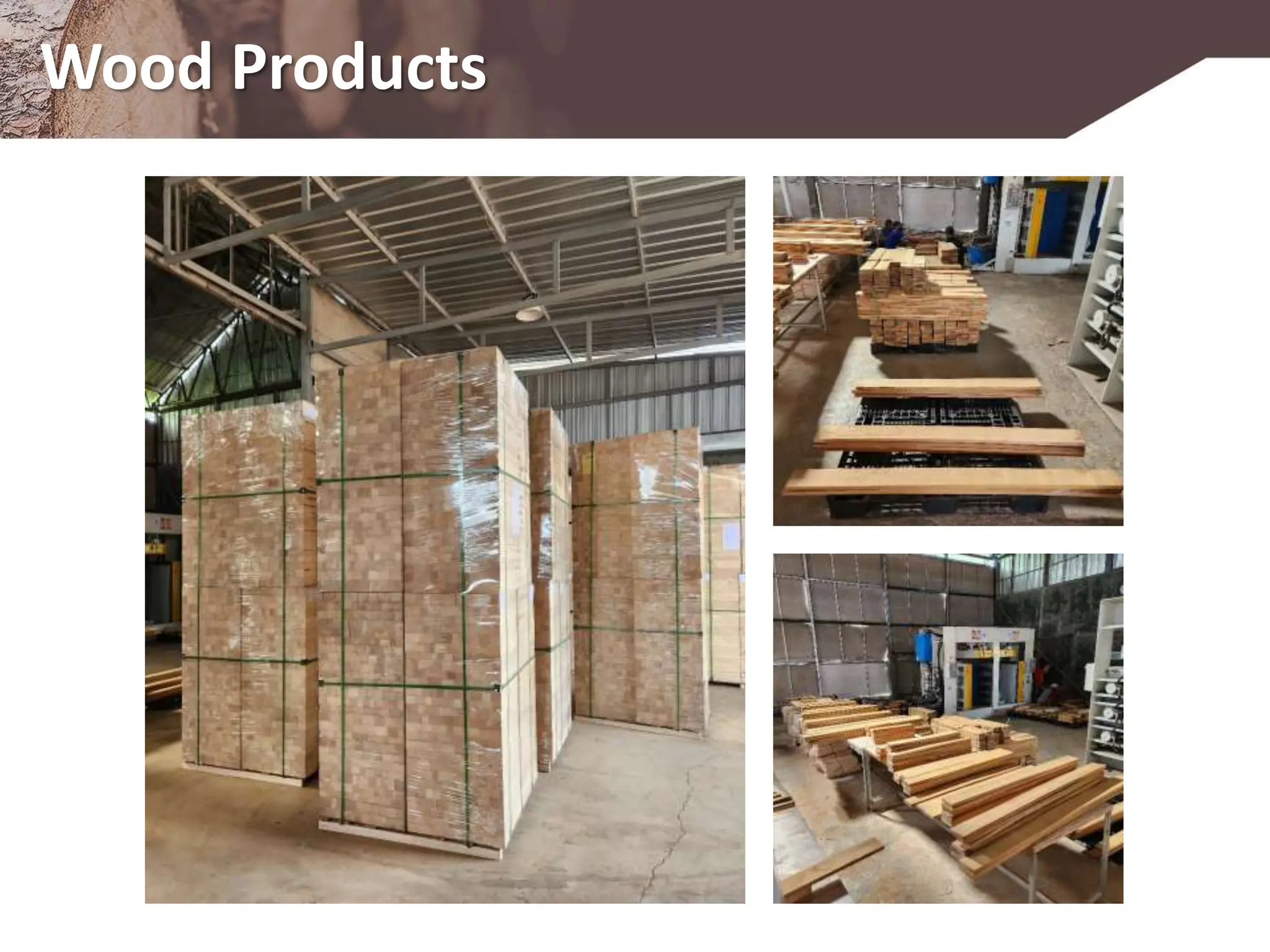 company profile kayu jati dan proses produksinya.pptx