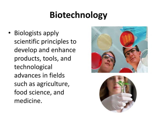 Career options in biology | PPTX | Biological Sciences | Science