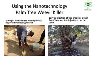 The Nanotechnology Palm Tree Weevil Killer | PPTX