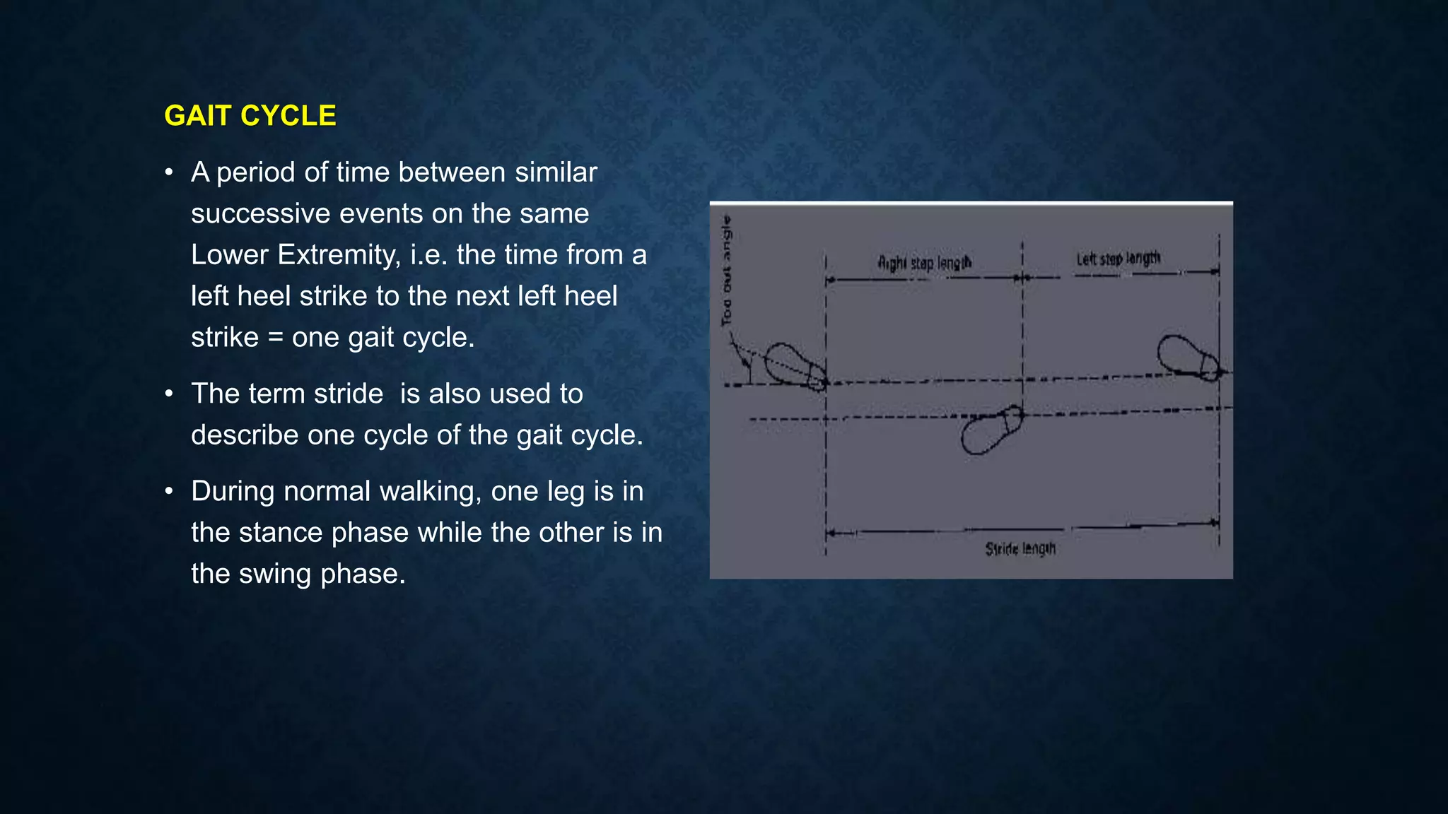 PTY 4304 pathokinesiology gait & pathological gait a | PPTX