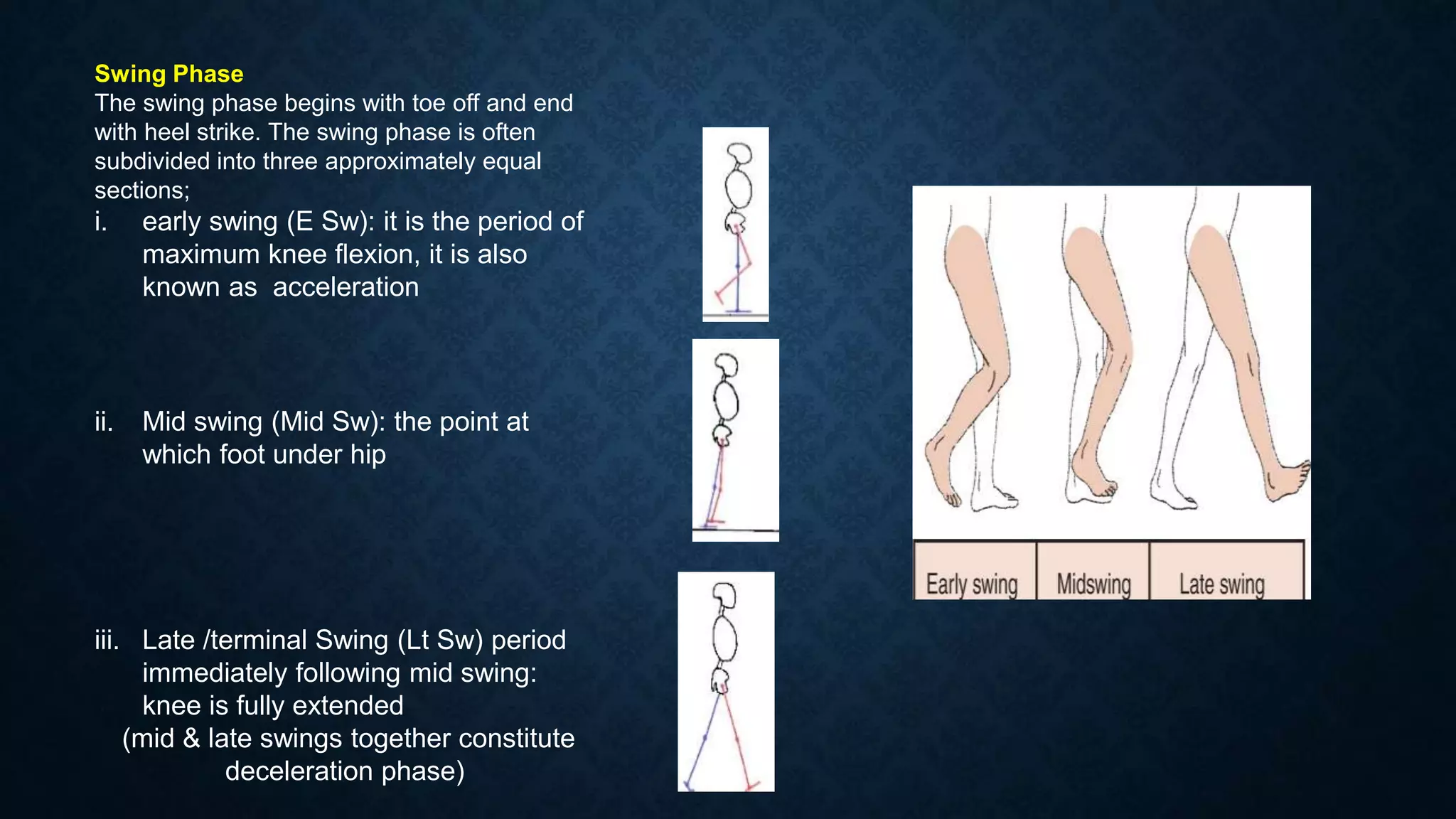 PTY 4304 pathokinesiology gait & pathological gait a | PPTX