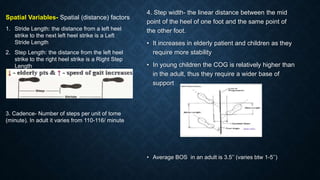 PTY 4304 pathokinesiology gait & pathological gait a | PPTX