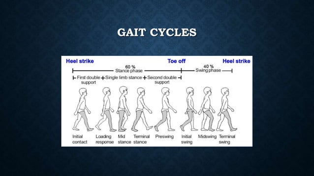 PTY 4304 pathokinesiology gait & pathological gait a | PPTX