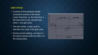 PTY 4304 pathokinesiology gait & pathological gait a | PPTX