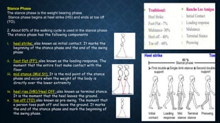 PTY 4304 pathokinesiology gait & pathological gait a | PPTX