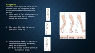 PTY 4304 pathokinesiology gait & pathological gait a | PPTX