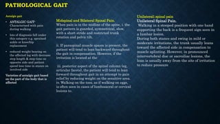 Pty 4304 pathokinesiology gait & pathological gait b | PPTX