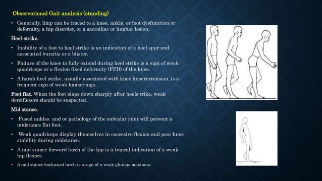 Pty 4304 pathokinesiology gait & pathological gait b | PPTX | Death ...