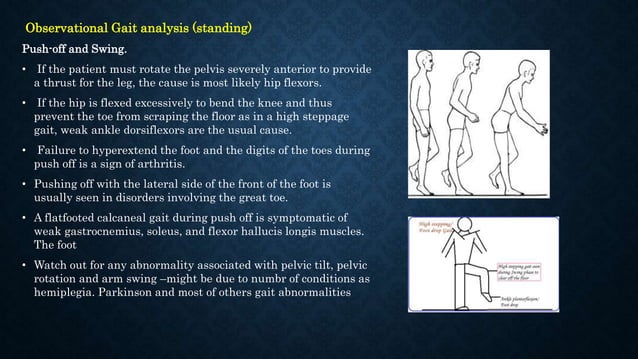 Pty 4304 pathokinesiology gait & pathological gait b | PPTX | Death ...