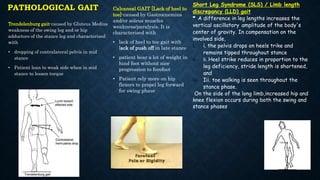 Pty 4304 pathokinesiology gait & pathological gait b | PPTX