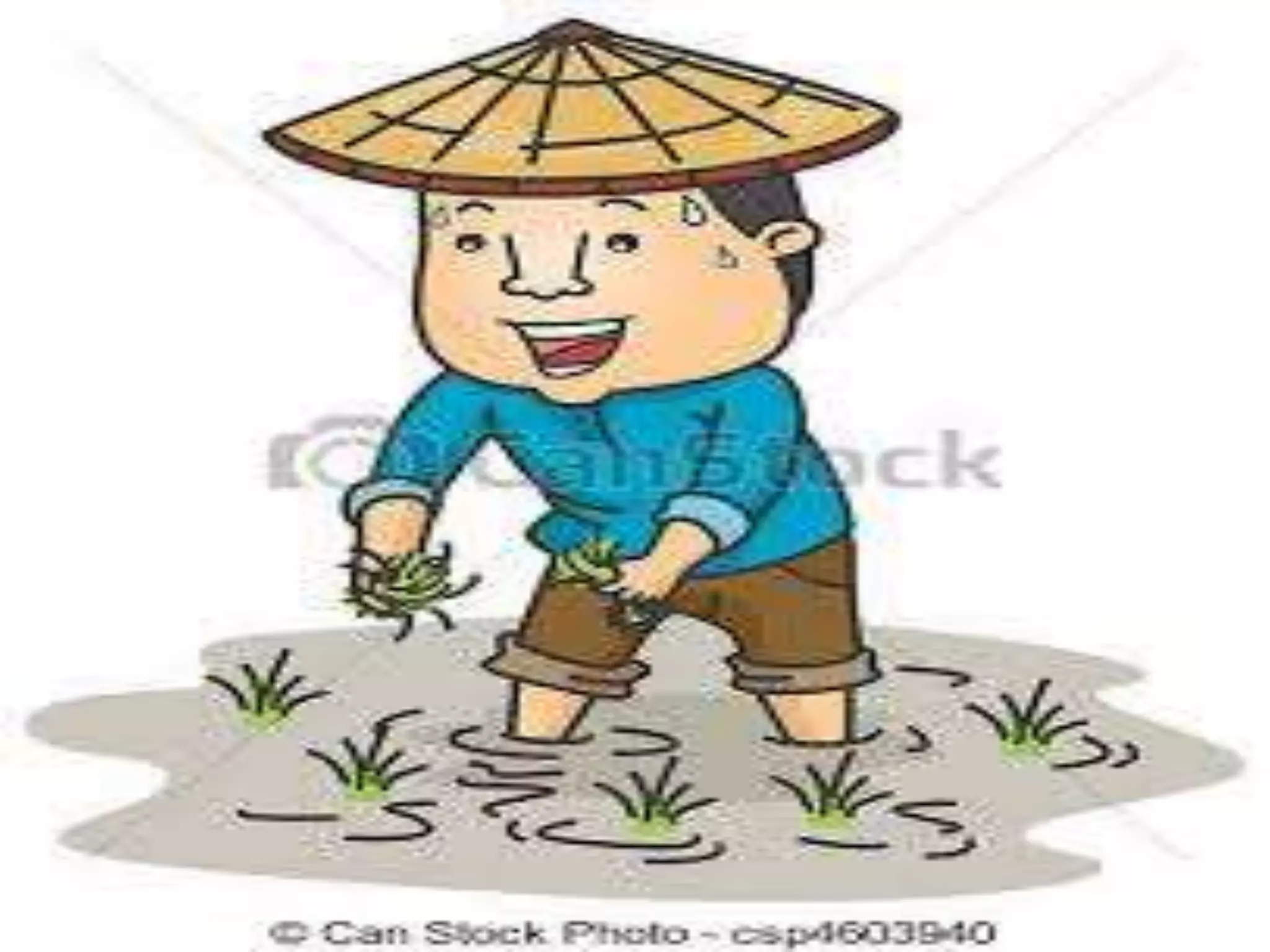 yamang tao | PPTX