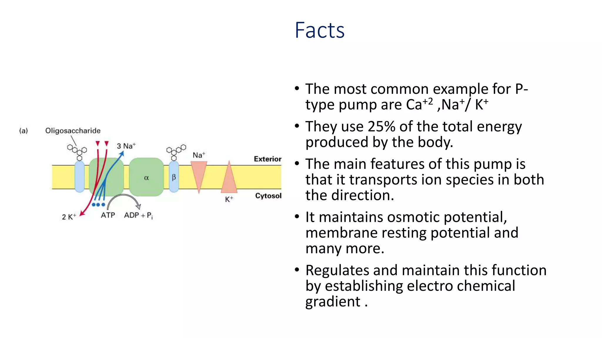P type pump | PPTX