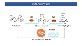 enzyme immobilization by noncovalent bond on a resin | PPT
