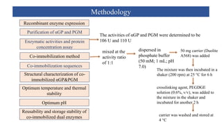 enzyme immobilization by noncovalent bond on a resin | PPT