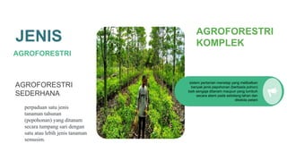 PERTANIAN BERKELANJUTAN BERBASIS AGROFORESTRI | PPTX