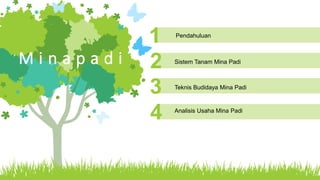 Mina padi | PPTX
