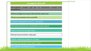 Mina padi | PPTX