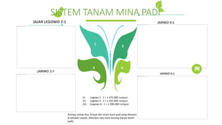 Mina padi | PPTX