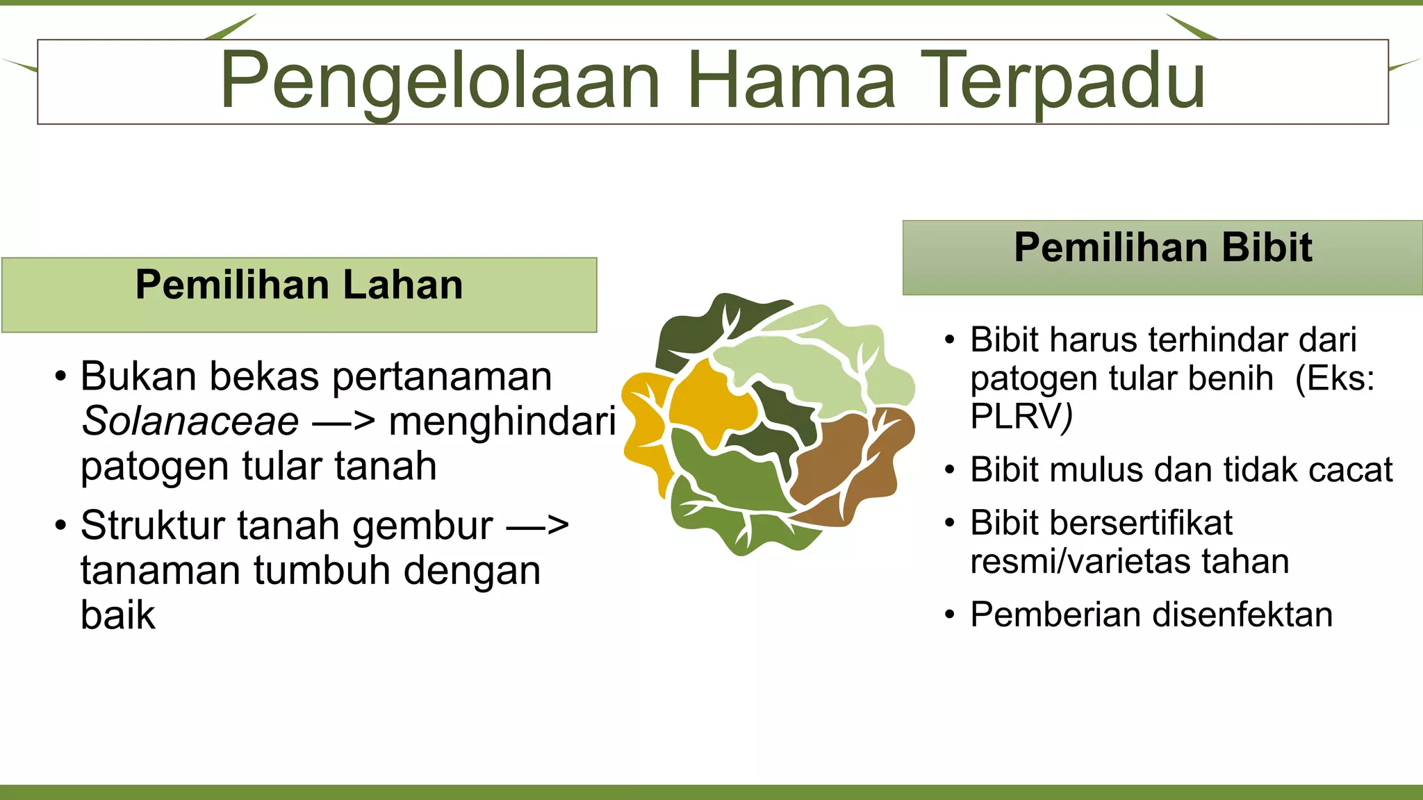 Teknologi Budidaya Tanaman Dengan Pengendalian Hama dan Penyakit ...