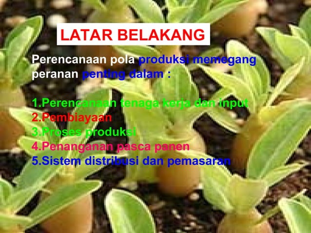 perencanaan usaha agribisnis pertanian .ppt