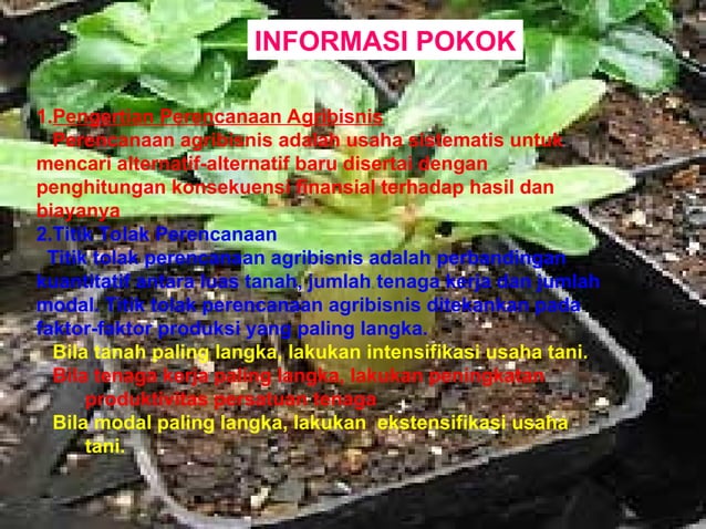 perencanaan usaha agribisnis pertanian .ppt