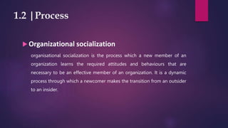 importance of socializaztions | PPTX | Business Administration | Business