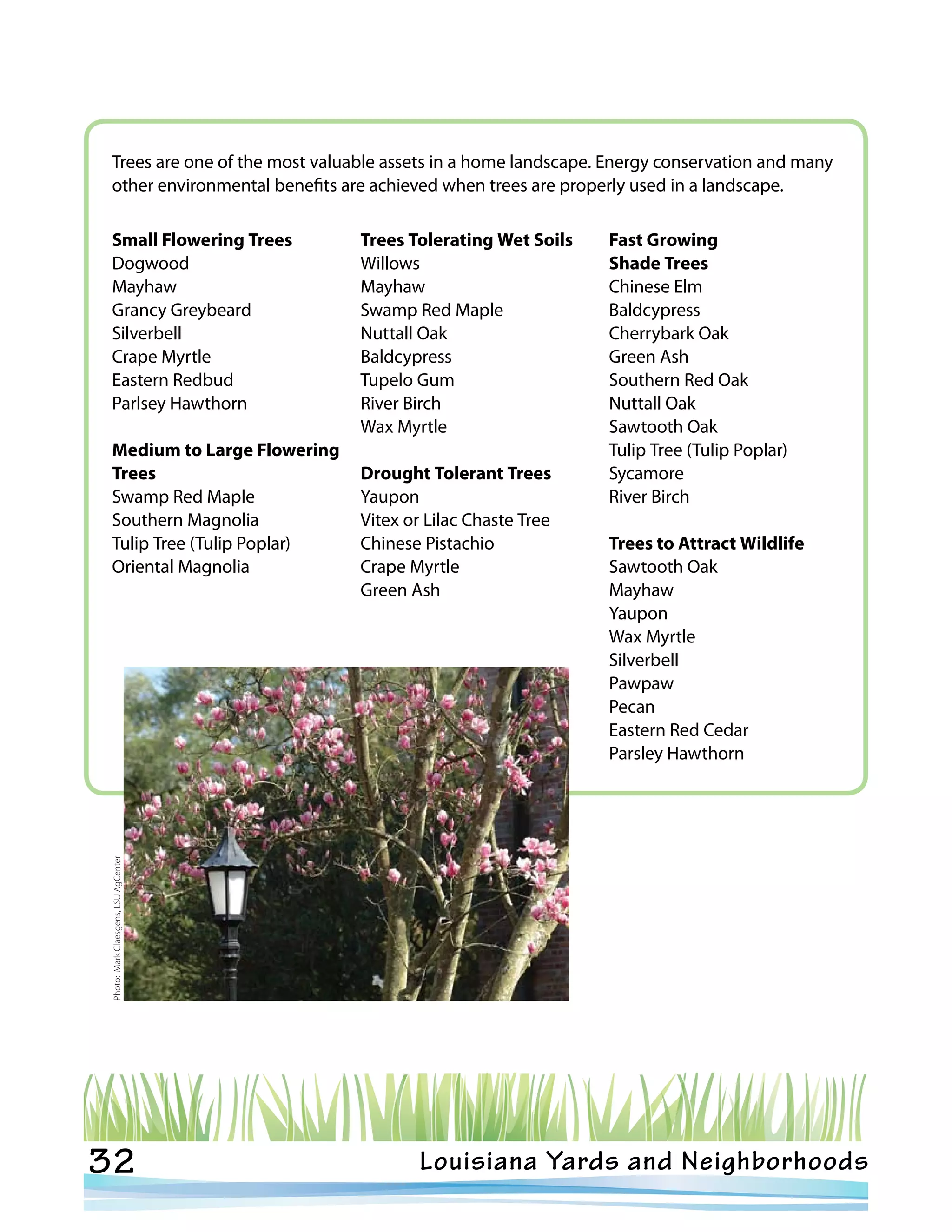 A Guide to Louisiana-Friendly Landscaping - Louisiana State University ...