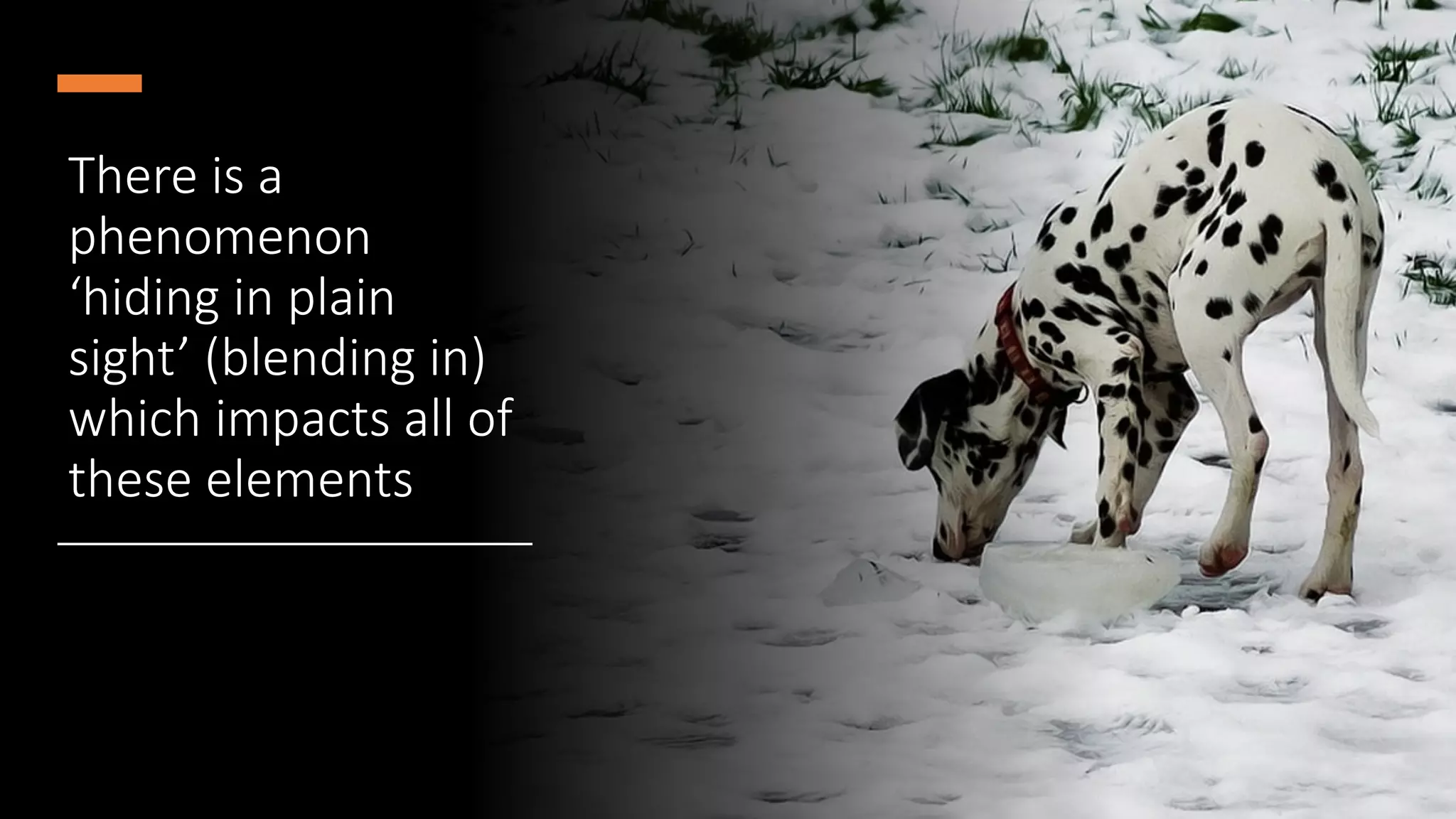 Zipfs Law & Zipfian Distribution in SEO - Pubcon Virtual Fall 2020