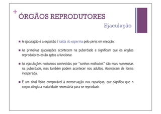 Puberdade | PDF