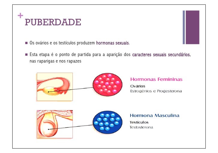 Puberdade