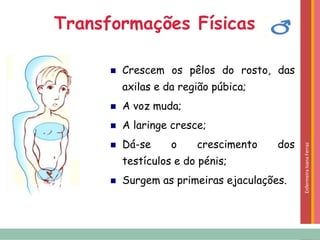 Puberdade | PPTX | Reproductive Health | Diseases and Conditions