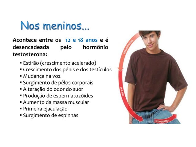 Puberdade .pptx;d | PPT