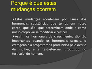 Puberdade powerpoint 2 | PPTX