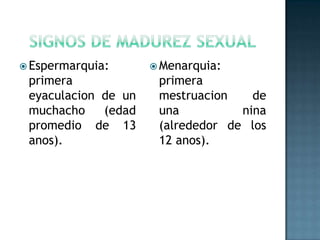 Pubertad | PPTX