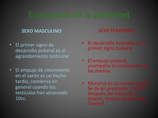 Pubertad | PPT
