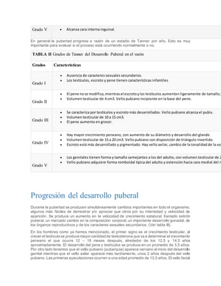 Pubertad.docx