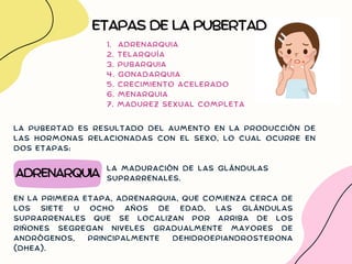 Tema: PUBERTAD (Psicología del Desarrollo) | PDF | Reproductive Health ...