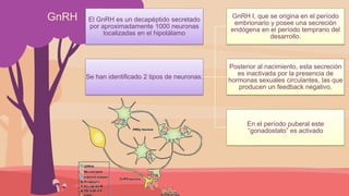 LA Pubertad cambios fisiologicos durante la pubertad | PPTX