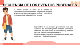 CAMBIOS FISIOLOGICOS PUBERTABBBBBBBBBBBBD | PPTX
