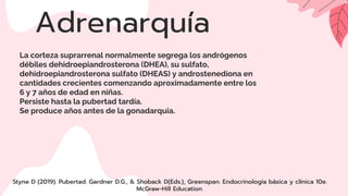 PUBERTAD DURANTE LA ADOLESCENCIA Y SUS CAMBIOS | PDF