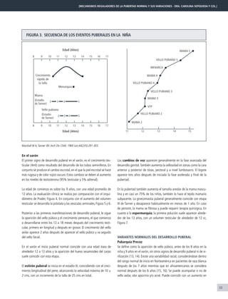 Pubertad1 | PDF