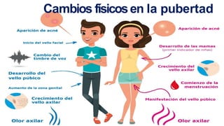 Cambios Físicos En La Adolescencia O Pubertad – QIZR