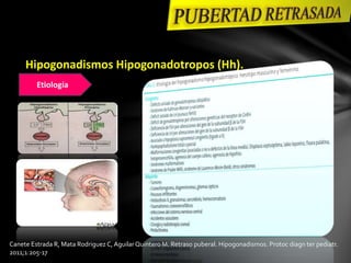 Pubertad retrasada | PPTX