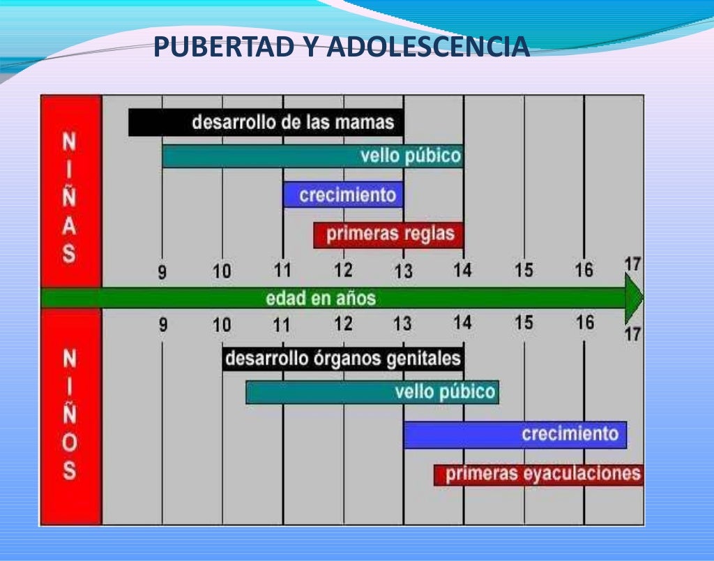 Pubertad y adolescencia 18