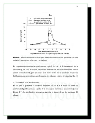Pubertad y ciclo estral | DOC