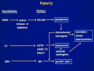 pubertal disorders detailed presentation | PPTX