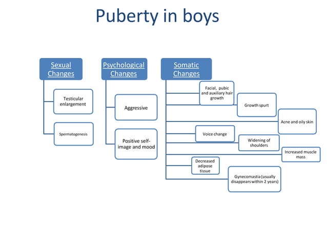 Puberty disorders | PDF