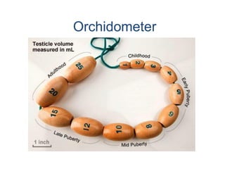 Puberty disorders | PDF