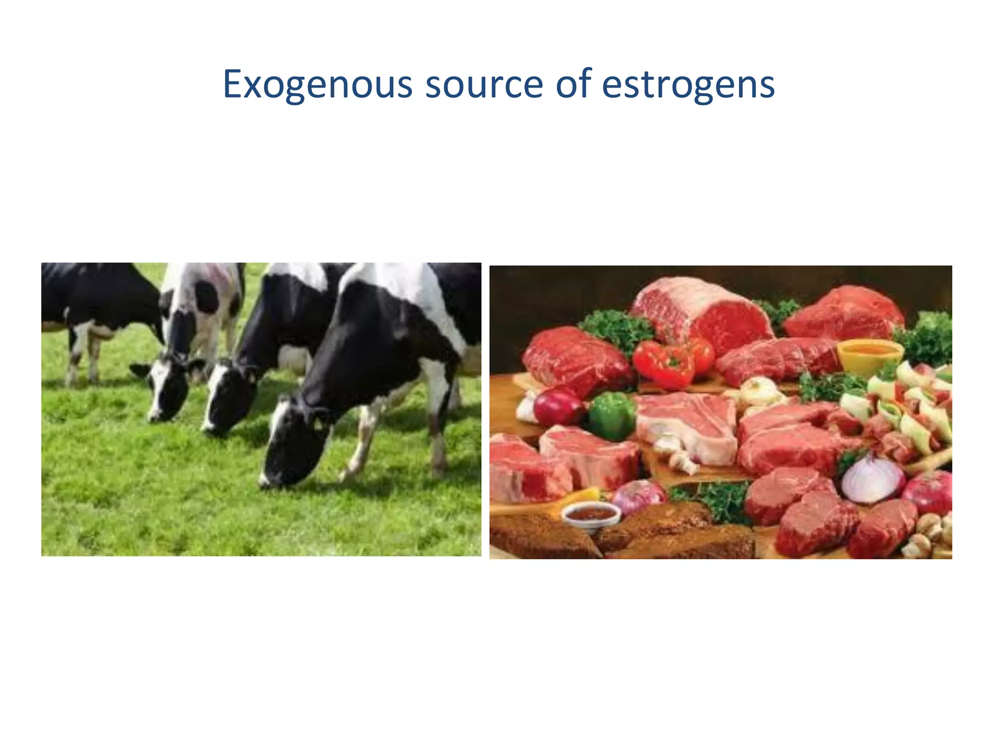 Pubertal disorders in children | PDF